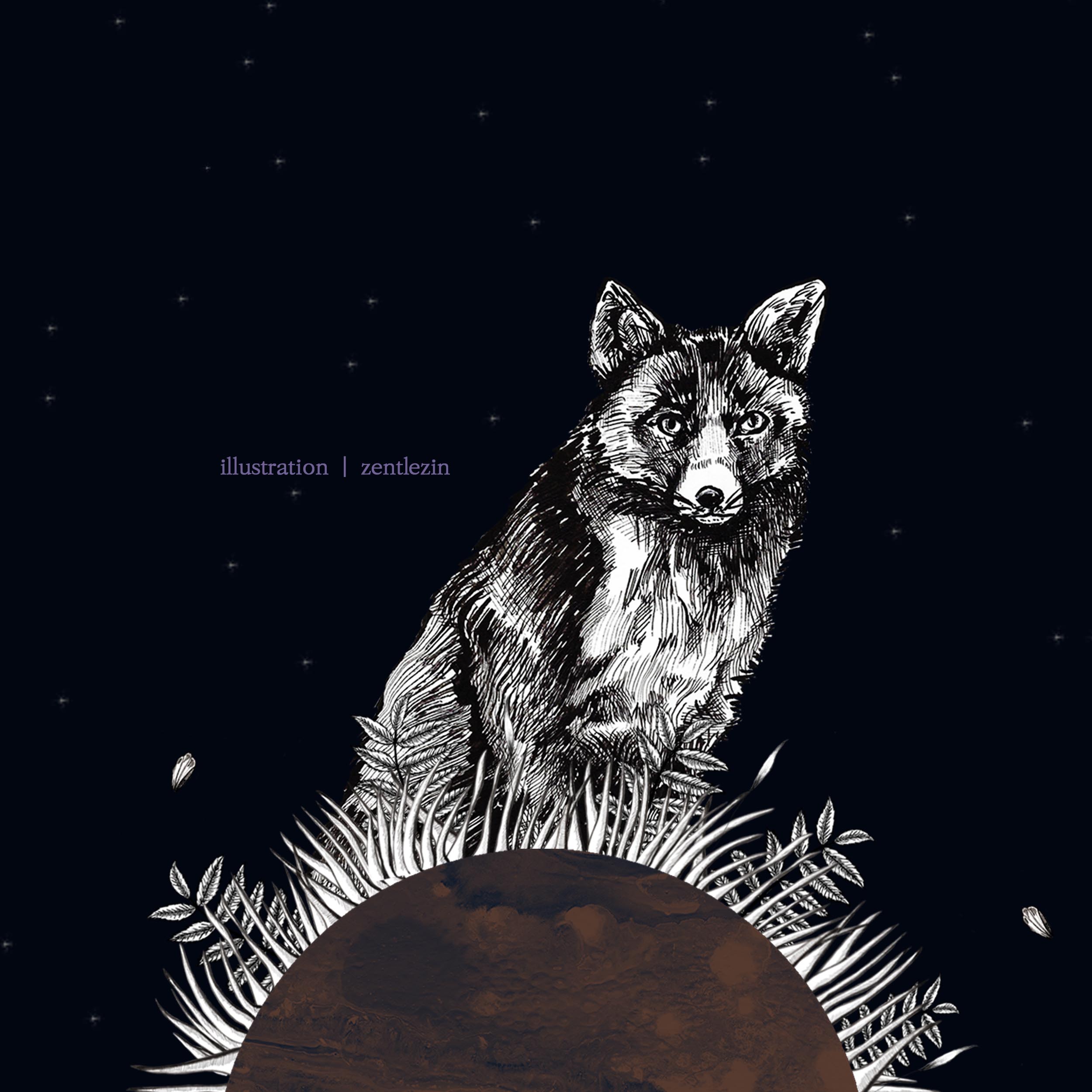 Meaning of being tamed