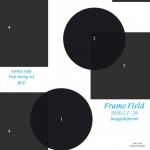 Frame Field